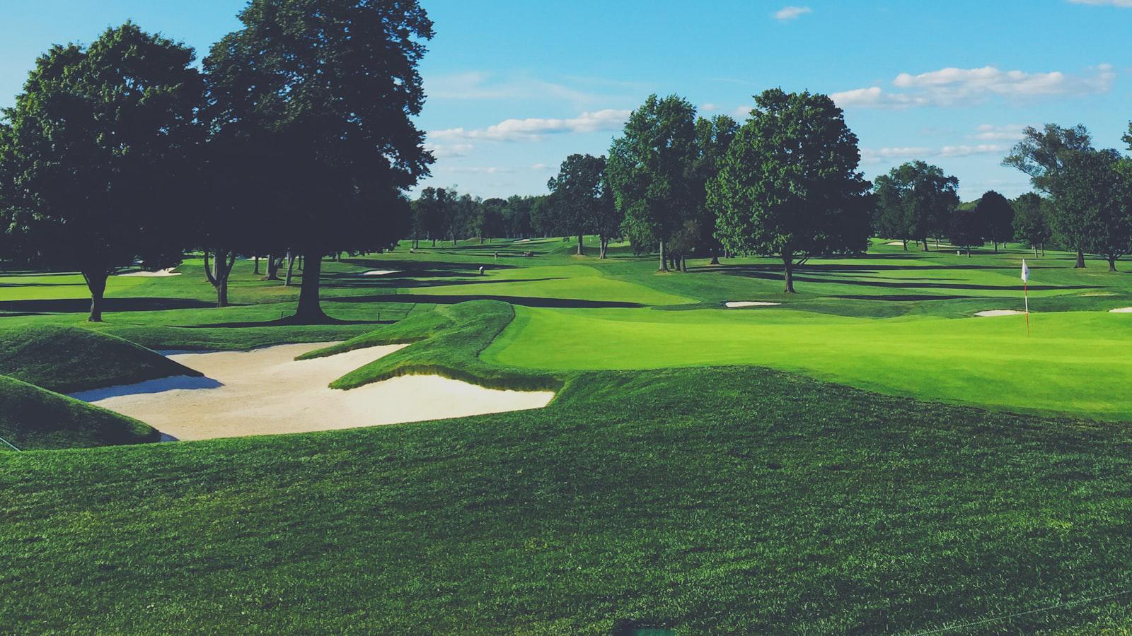 Essential Golf Techniques for Novice Players: A Comprehensive ...
