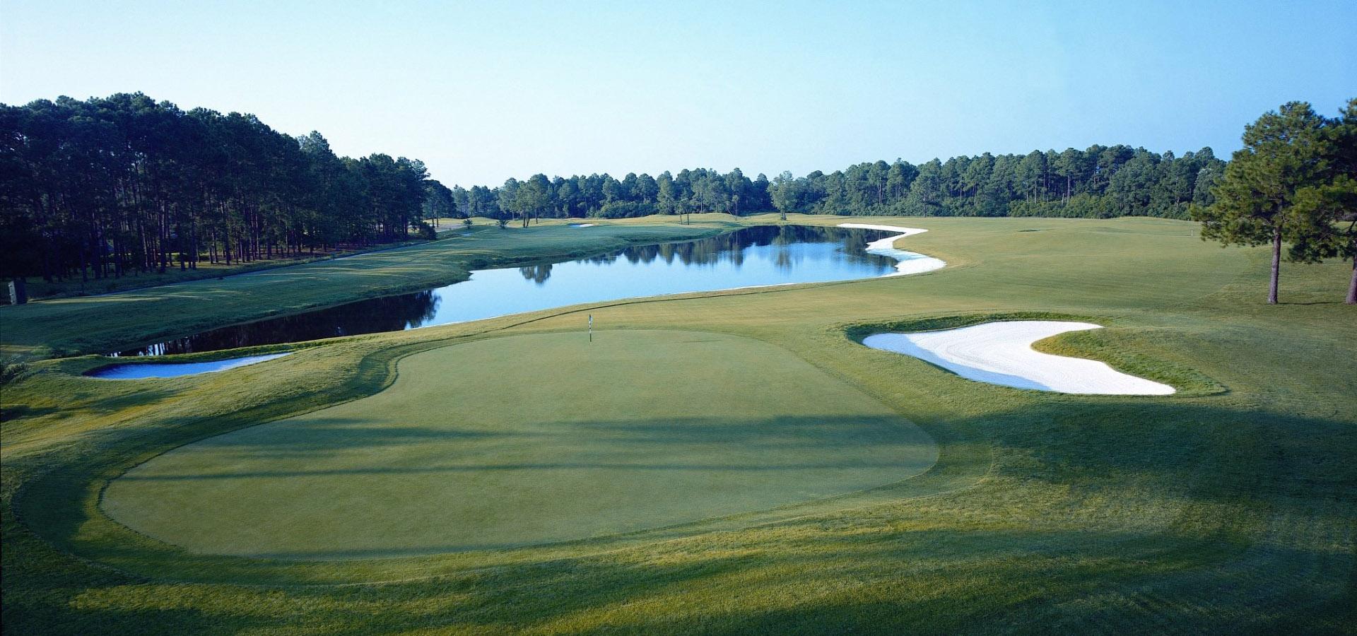 Bay Golf Club Scores Big: A Celebratory Win for TGL's Inaugural Match ...